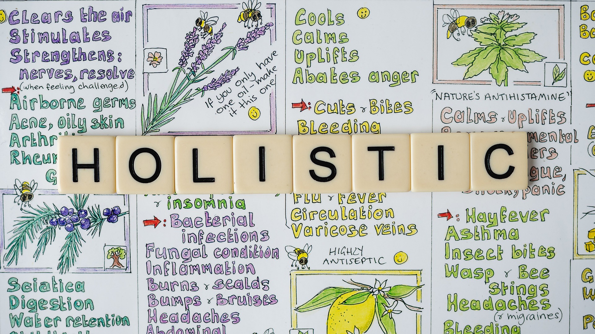 Holistic Well-Being: A Comprehensive Guide to Achieving Balance in All ...
